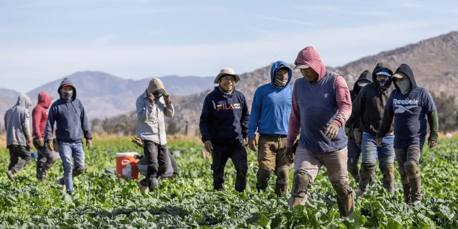 California Farm Bureau Warns Immigration Gaps Could Cripple State ...