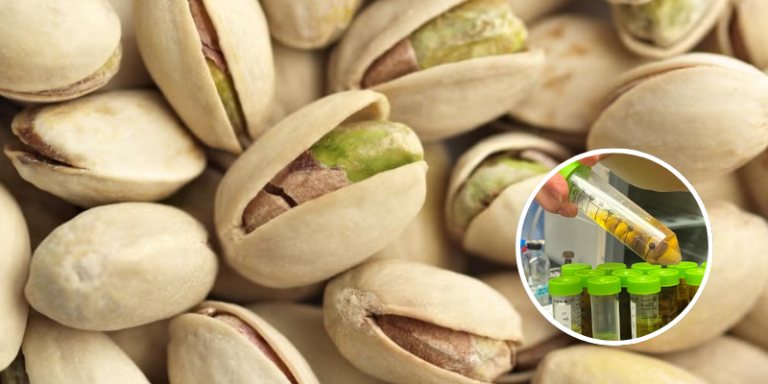 The Shocking Science Behind Pistachio Hull Split: What Every Grower ...