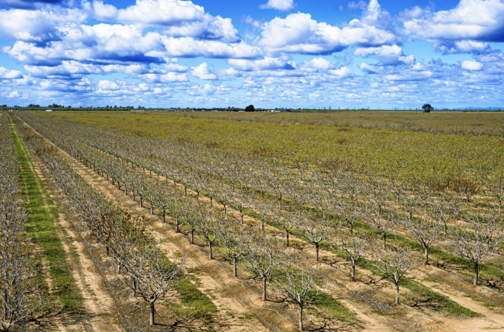 Chill Hours Update for California Pistachios with Diversified Land ...